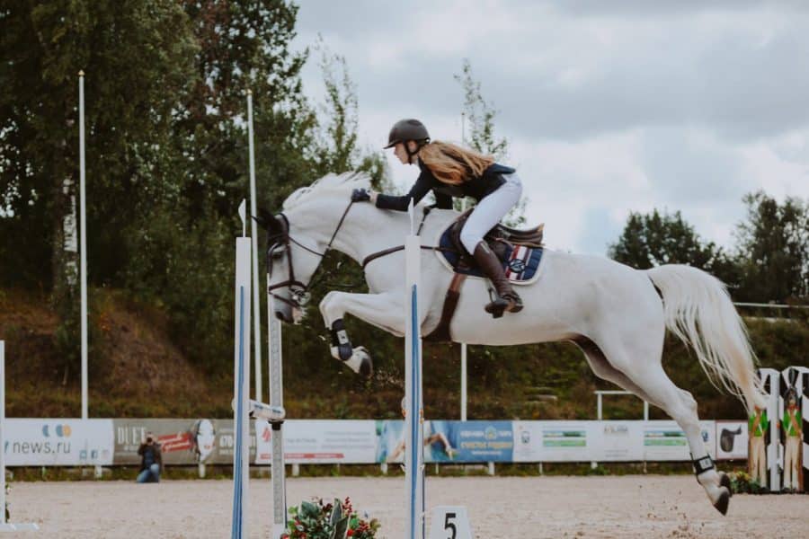 Quiz Galop 7 - Petit Galop