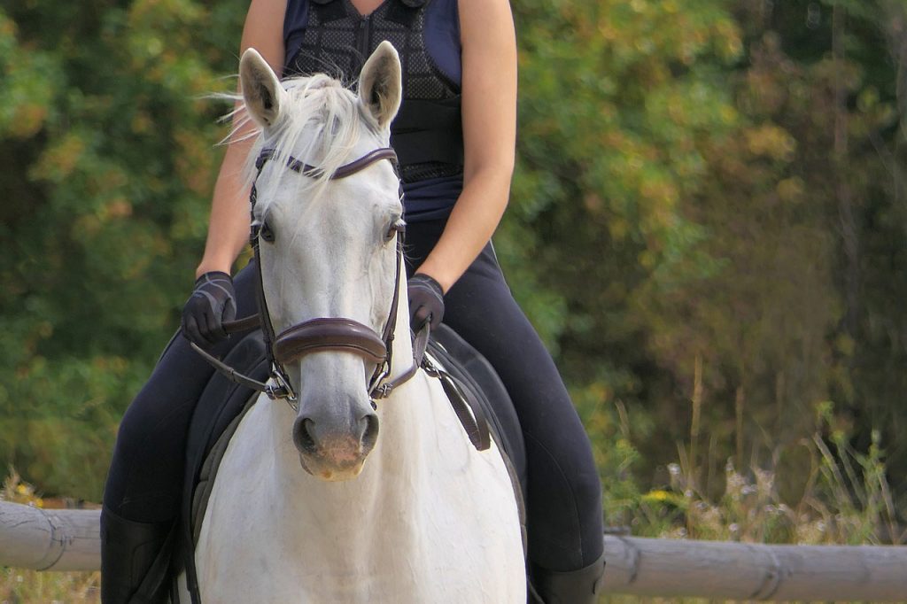 5 raisons de pratiquer l'équitation - Petit Galop
