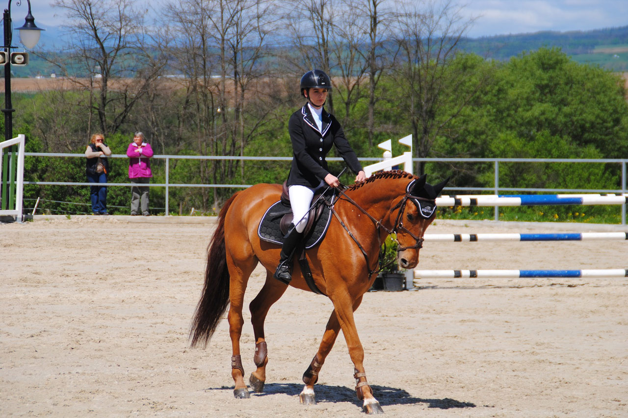 Le CSO : le guide complet du Concours de Saut d'Obstacles - Petit Galop