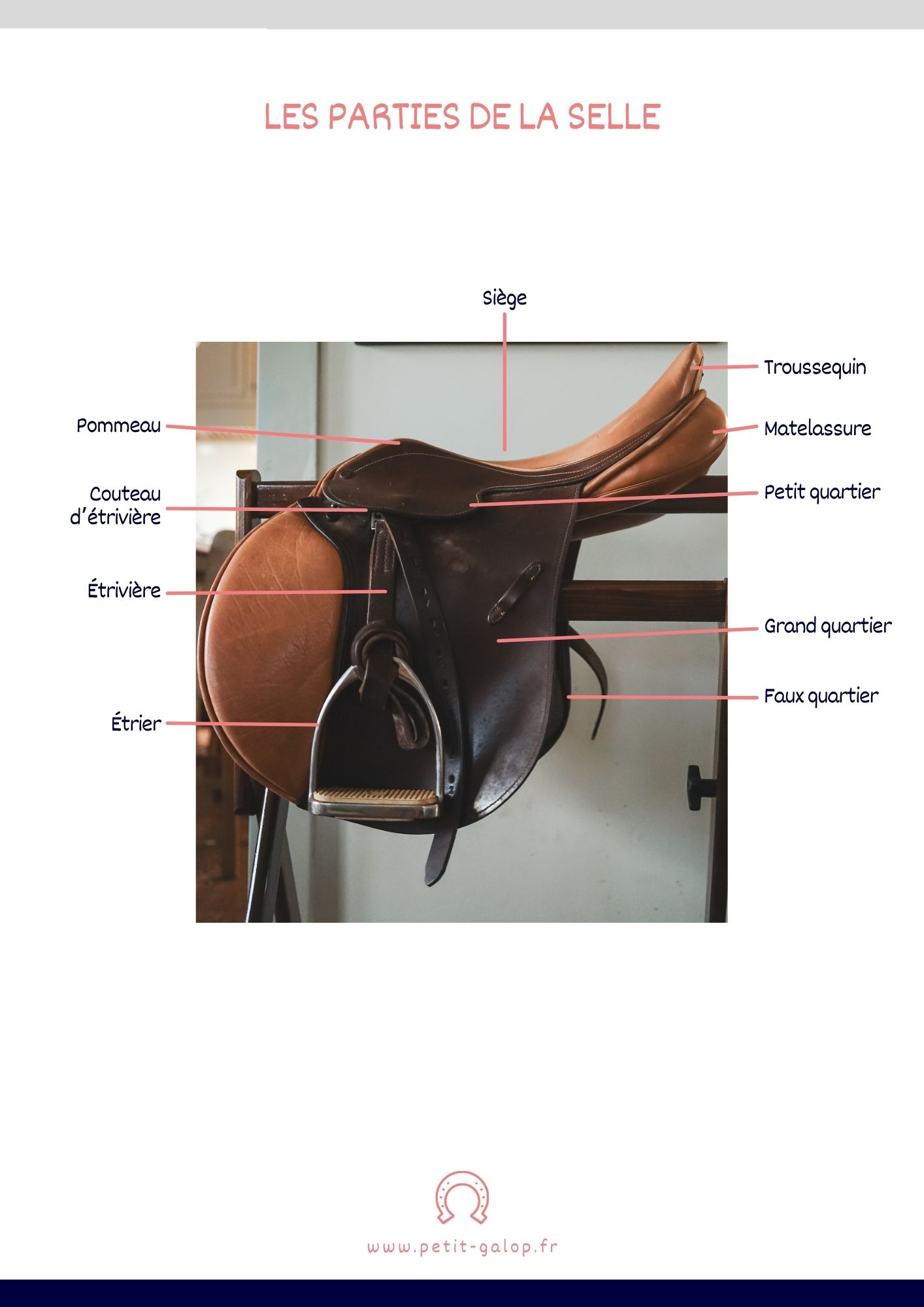 Tout savoir sur la selle - Petit Galop