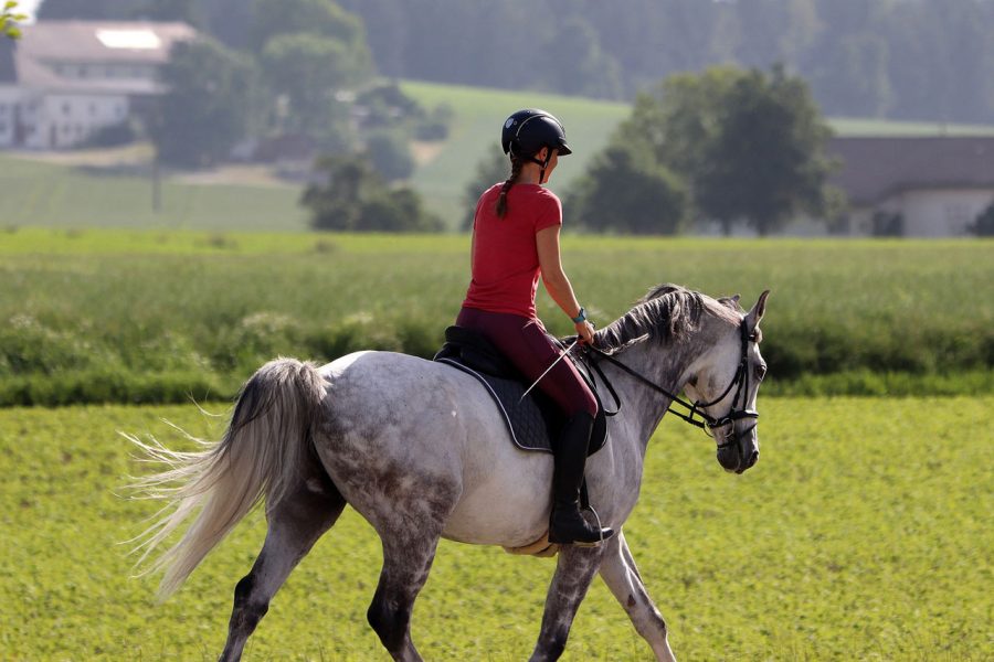 Les aides pour avancer à cheval - Petit Galop