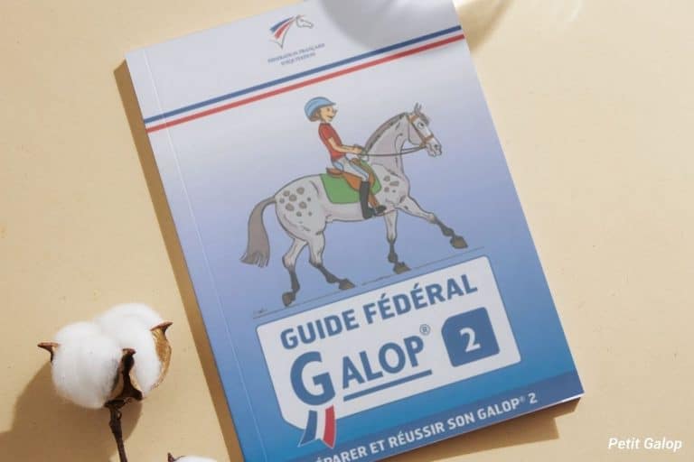 Quiz Galops : révise la théorie en t'amusant - Petit Galop